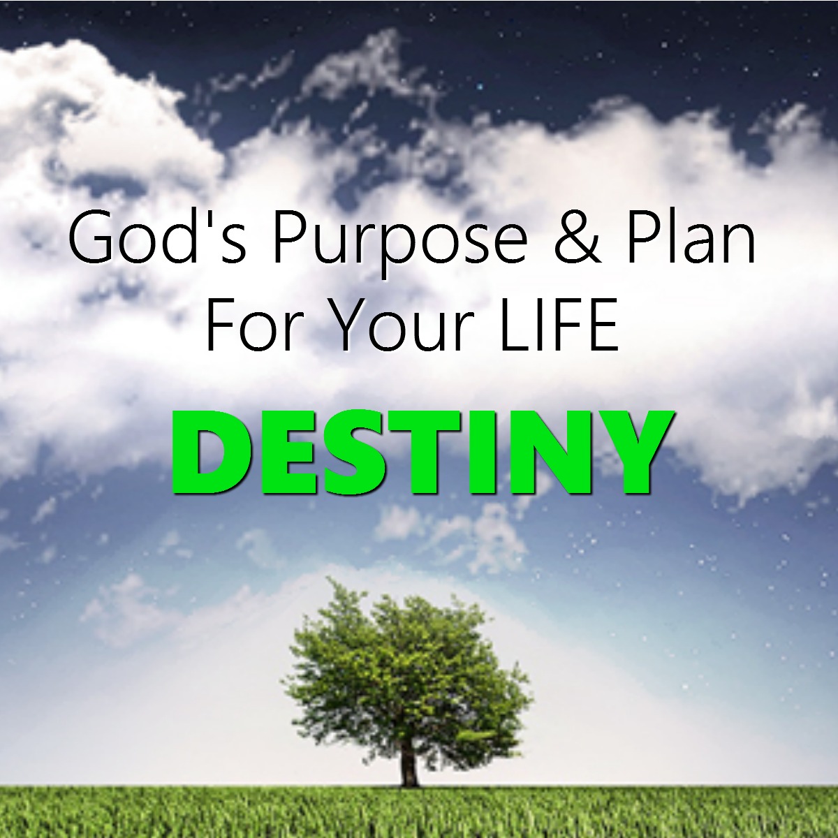 God's Plan and Purpose for Your LIFE - Destiny - Living Word Church